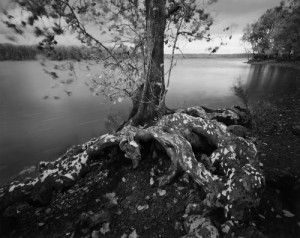 Thomas Teich | The Art Guide